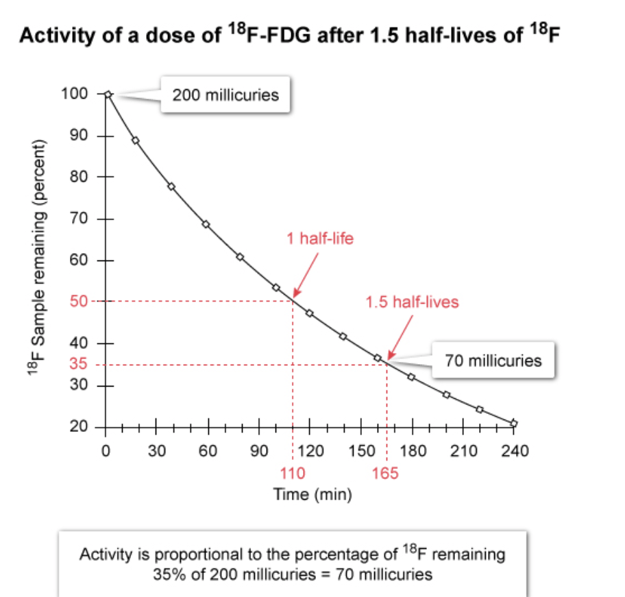 Solved How do i find 1.5 half lives? I thought 110 at 50% is | Chegg.com