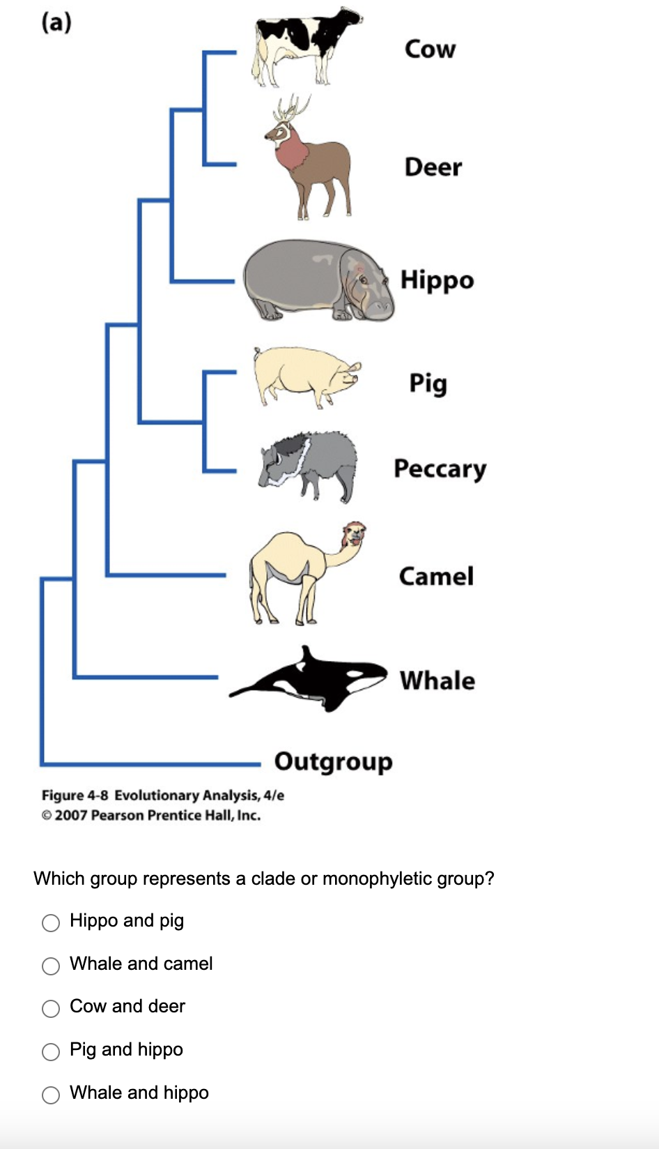Solved Figure 4-8 Evolutionary Analysis, 4/e (c) 2007 | Chegg.com