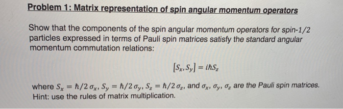 Solved Problem 1: Matrix representation of spin angular | Chegg.com
