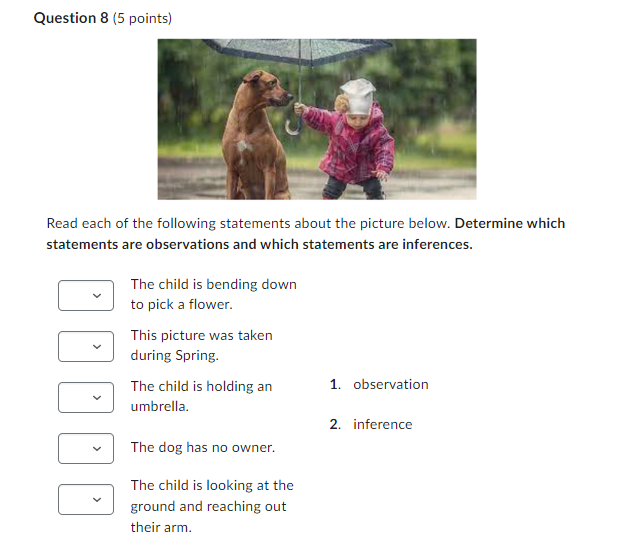 Solved Question 8 (5 points) Read each of the following | Chegg.com