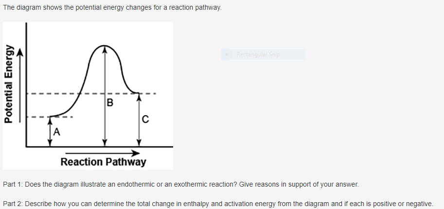 Solved The diagram shows the potential energy changes for a | Chegg.com