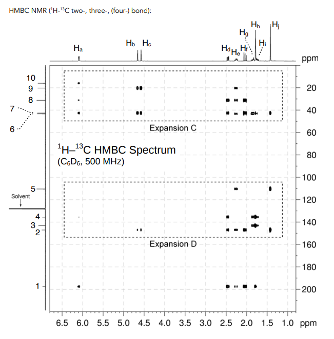 Hint: This compound contains a secondary amine. | Chegg.com