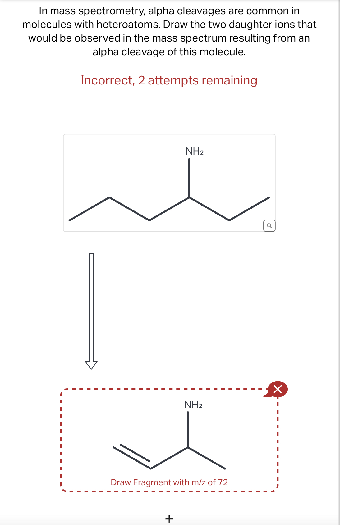 Solved +In mass spectrometry, alpha cleavages are common in | Chegg.com