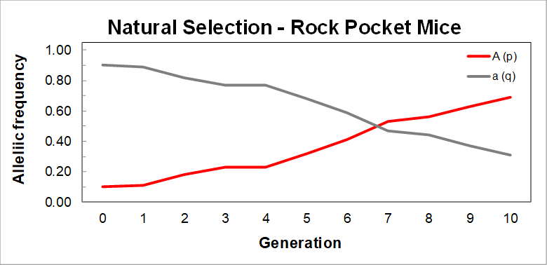 Solved Experiment C. Simulation of Natural Selection 1. | Chegg.com