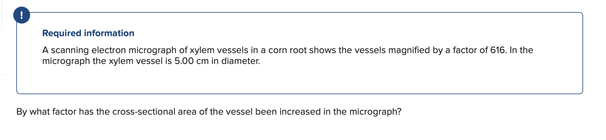 Solved A scanning electron micrograph of xylem vessels in a | Chegg.com