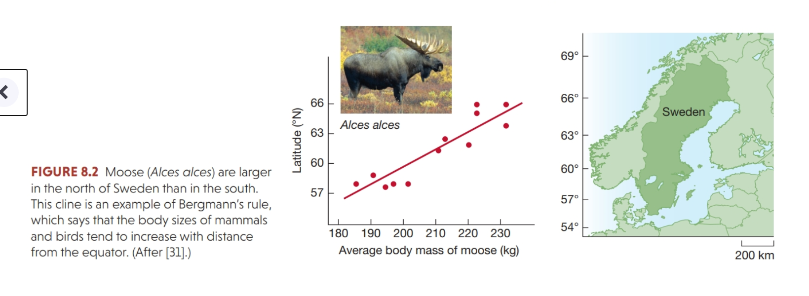 Solved 4. Clines in body size have been observed in many | Chegg.com