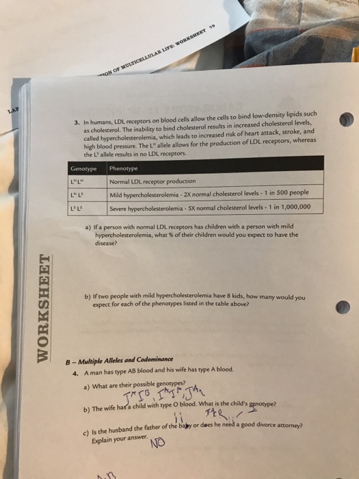 Solved 5. A man with type A blood marries a woman with type | Chegg.com