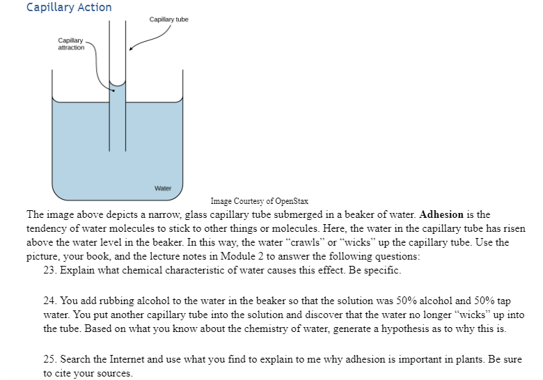 Solved Capillary Action Capillary tube Capillary attraction | Chegg.com