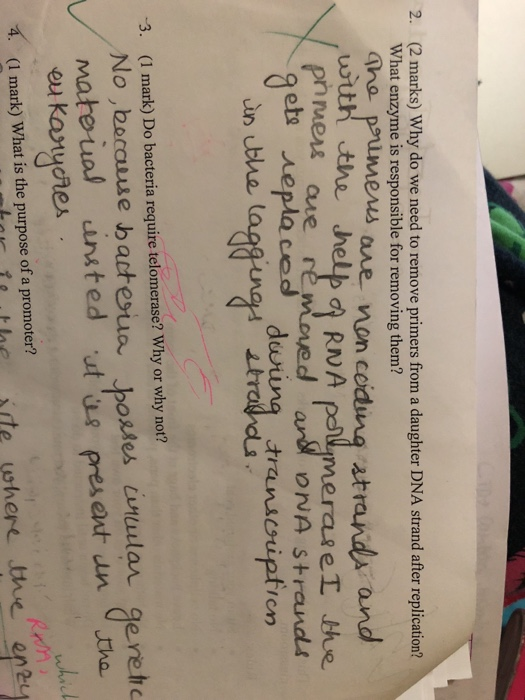 Solved 2. (2 marks) Why do we need to remove primers from a | Chegg.com