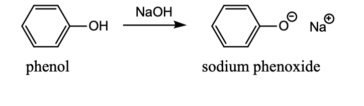 Solved Treating phenol with sodium hydroxide leads to the | Chegg.com