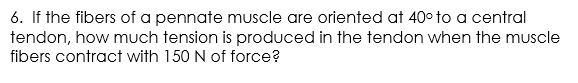 Solved 6. If the fibers of a pennate muscle are oriented at | Chegg.com