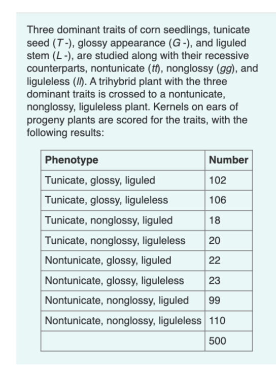 Three dominant traits of corn seedlings, tunicate | Chegg.com