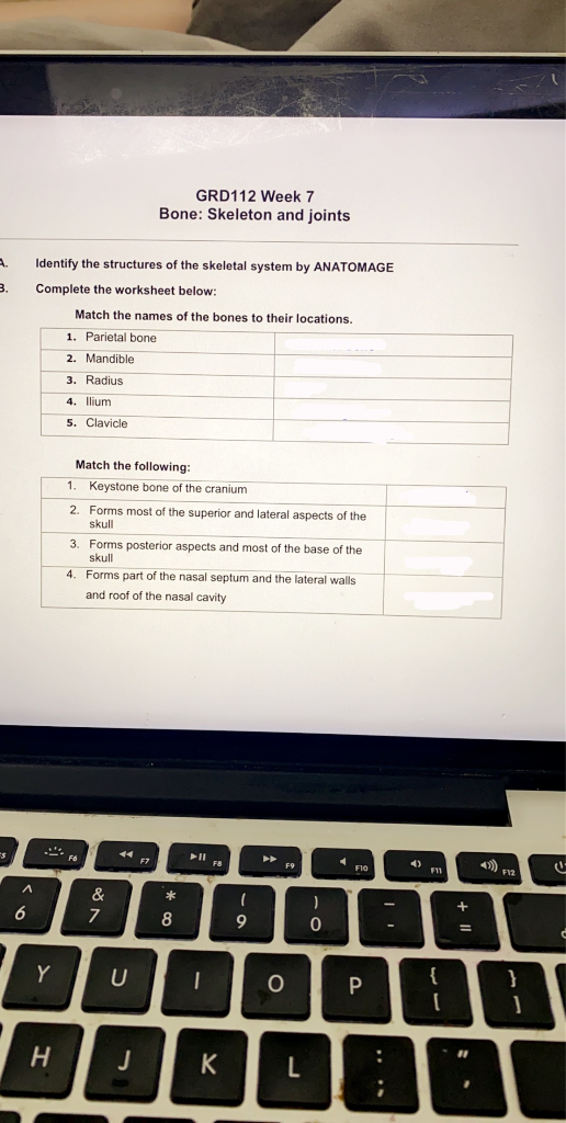 Solved GRD112 Week 7 Bone: Skeleton and joints Identify the | Chegg.com