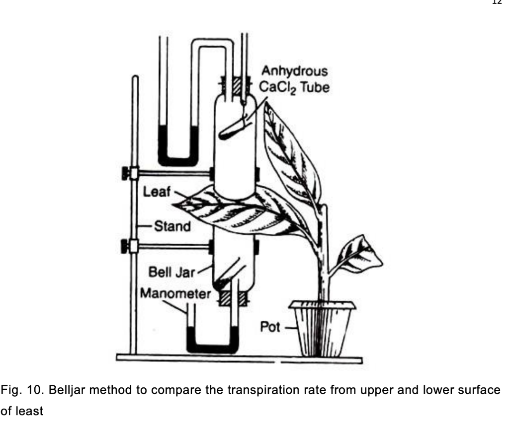 Solved Method: 1. Take two narrow bell jars and fix them on | Chegg.com
