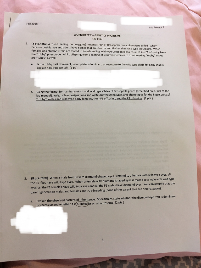 Fall 2018 Lab Project 2 WORKSHEET 2 -GENETICS | Chegg.com
