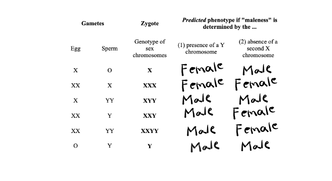 Solved Section B The appearances of typical males and | Chegg.com