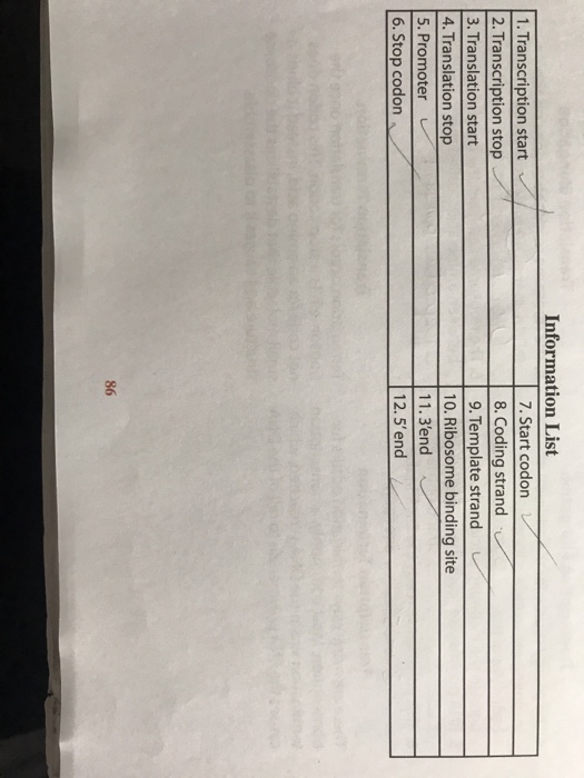 Solved Draw and label the primary amino acid sequence using | Chegg.com