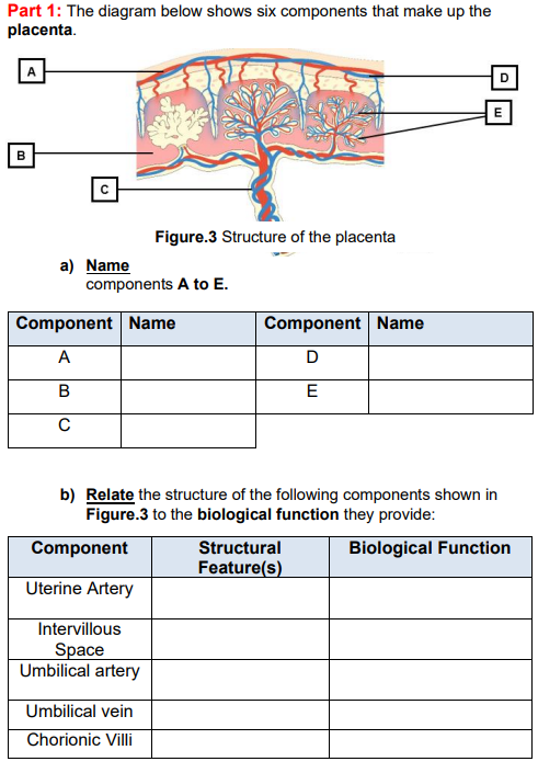 Solved Part 1 The Diagram Below Shows Six Components That