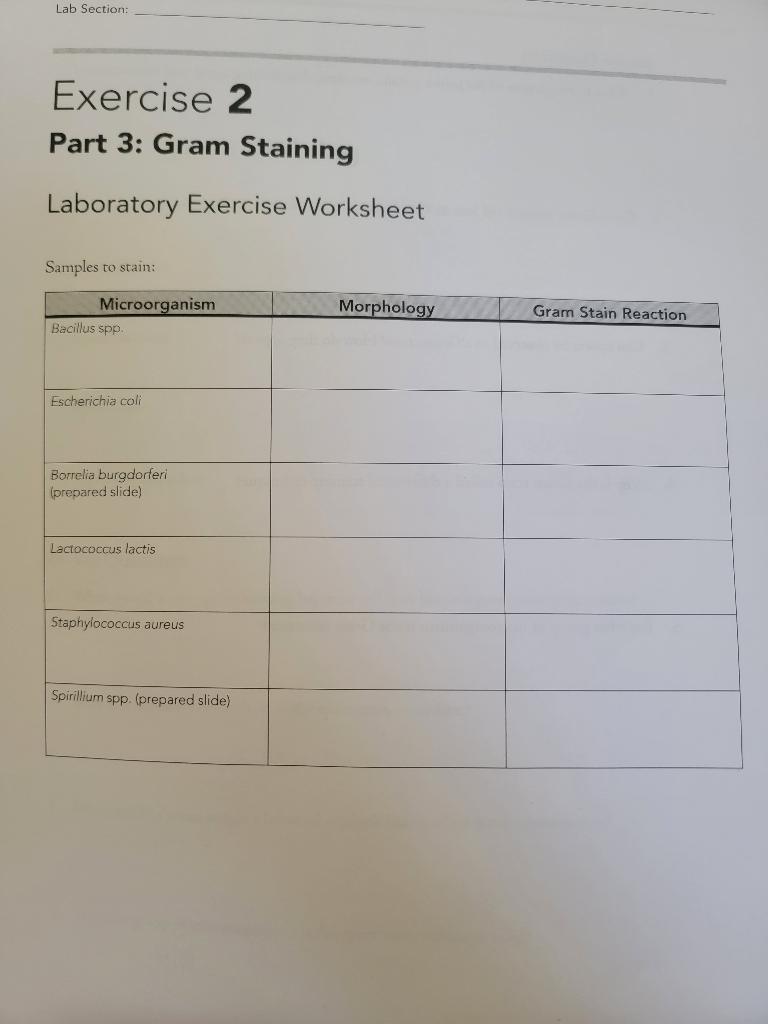 Solved Laboratory Exercise Worksheet Samples to stain: | Chegg.com
