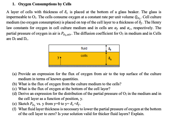 Solved 1. Oxygen Consumptions by Cells A layer of cells with | Chegg.com