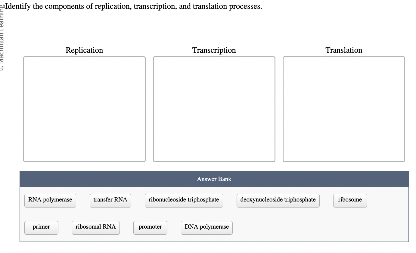 Solved oIdentify the components of replication, | Chegg.com