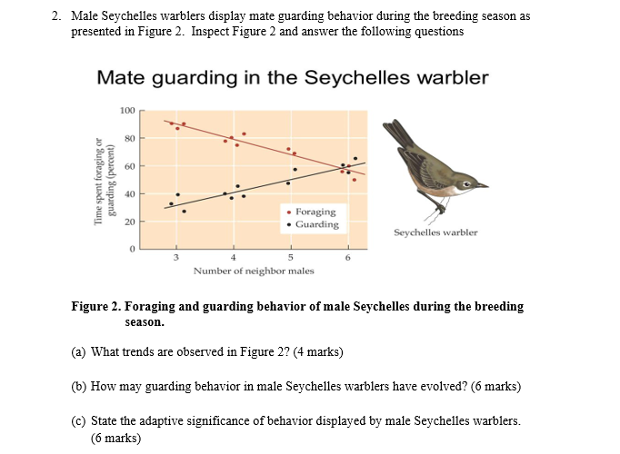 Solved Male Seychelles warblers display mate guarding | Chegg.com