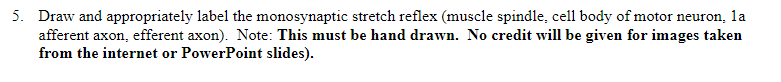 Solved 5. Draw and appropriately label the monosynaptic | Chegg.com