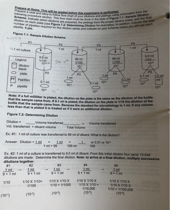 Solved Need help drawing out a dilution scheme for the | Chegg.com
