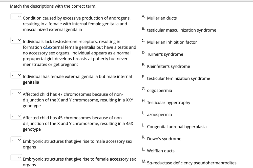 Solved Match the descriptions with the correct term. | Chegg.com