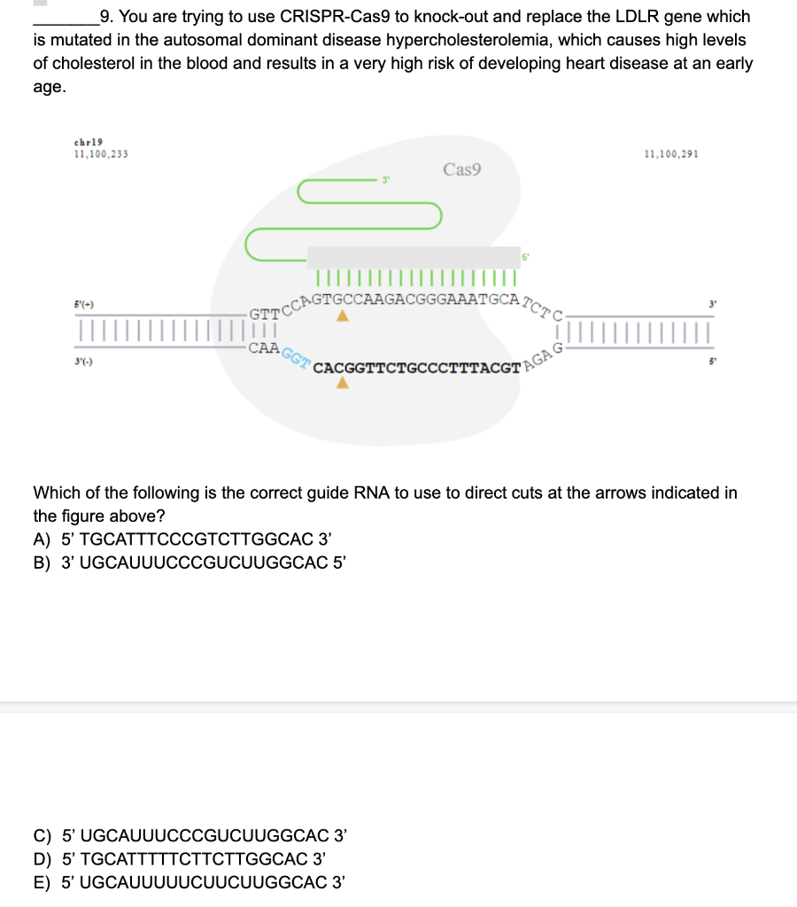 Solved _9. You are trying to use CRISPR-Cas9 to knock-out | Chegg.com