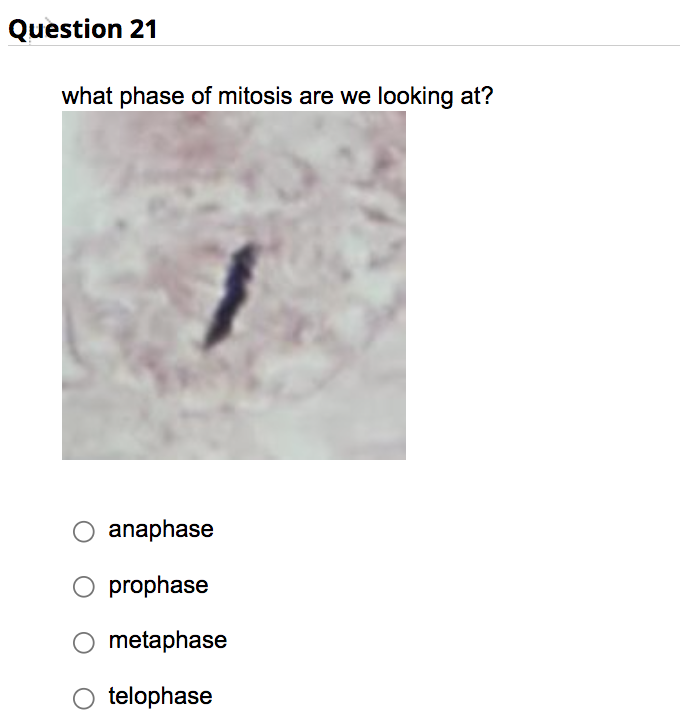 Solved If we have a tube filled with equal parts of glucose, | Chegg.com