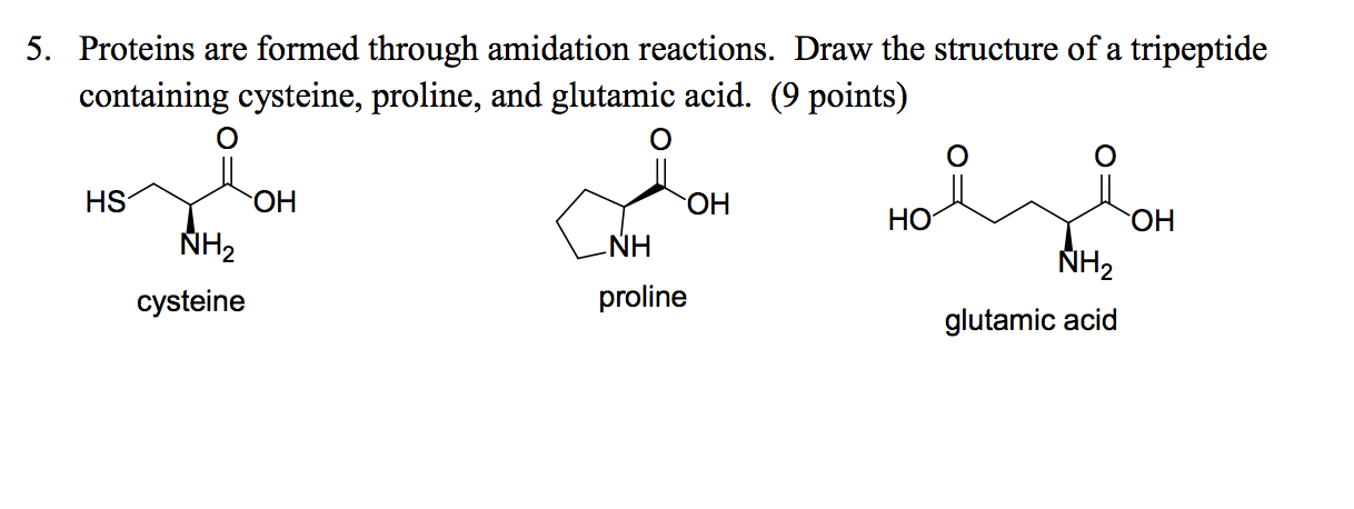 Solved 5. Proteins are formed through amidation reactions. | Chegg.com