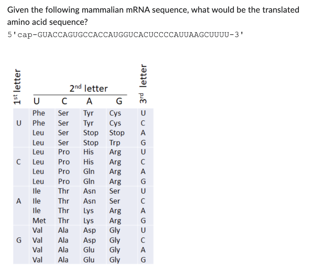 Solved Given the following mammalian mRNA sequence, what | Chegg.com