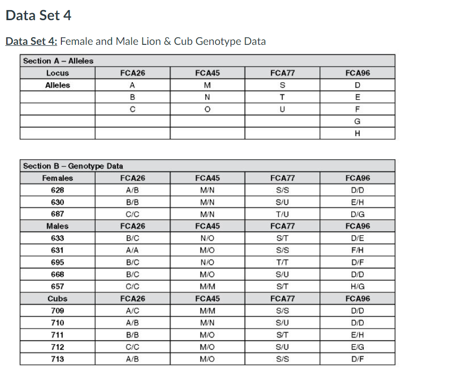 Data Set 4: Female and Male Lion \& Cub Genotype | Chegg.com