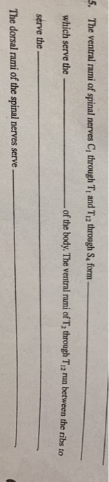 Solved 5· The ventral rami of spinal nerves c, through T, | Chegg.com