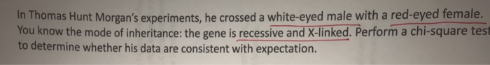 Solved In Thomas Hunt Morgan's experiments, he crossed a | Chegg.com