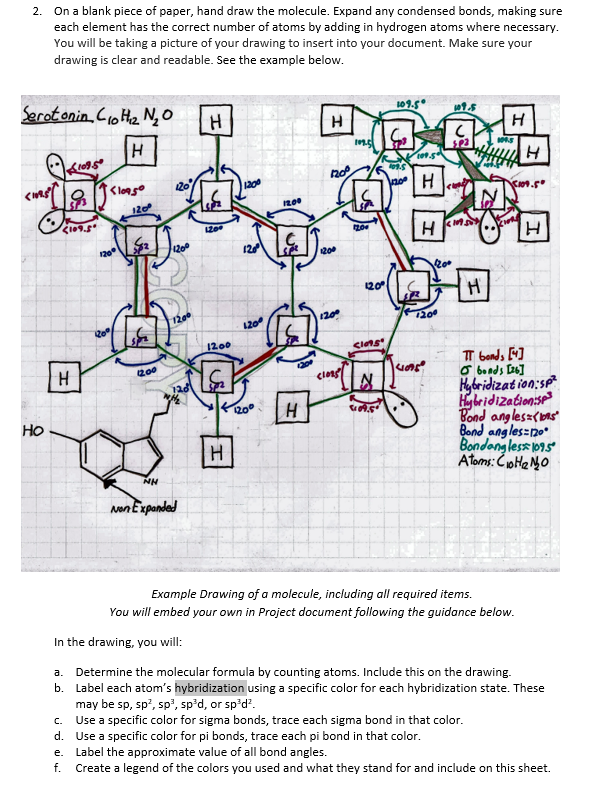 Solved 2. On a blank piece of paper, hand draw the molecule. | Chegg.com