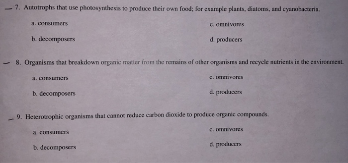 How Do Diatoms Use Photosynthesis