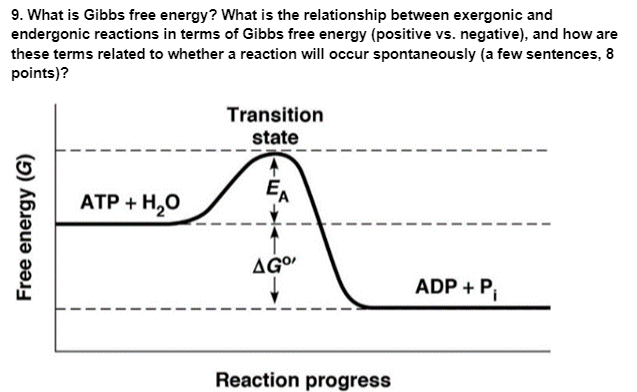 Solved 9. What is Gibbs free energy? What is the | Chegg.com