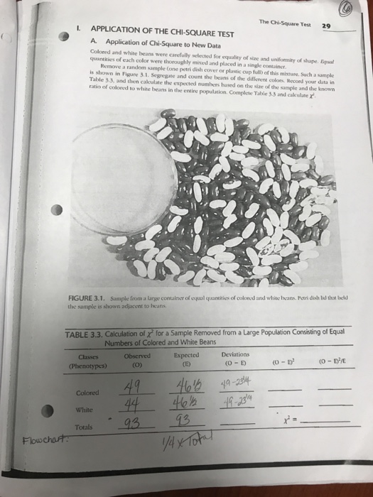 The Chi-Square Test 29 L APPLICATION OF THE | Chegg.com
