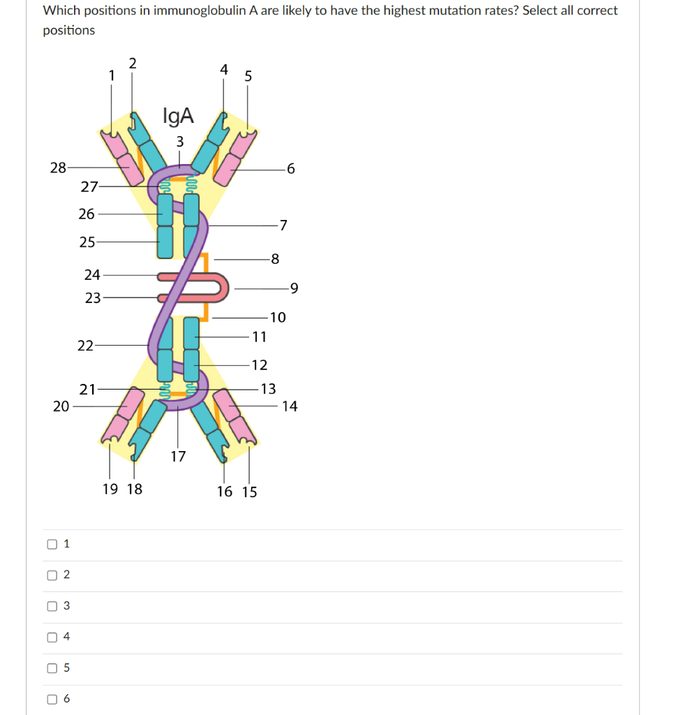 Solved Which positions in immunoglobulin A are likely to | Chegg.com