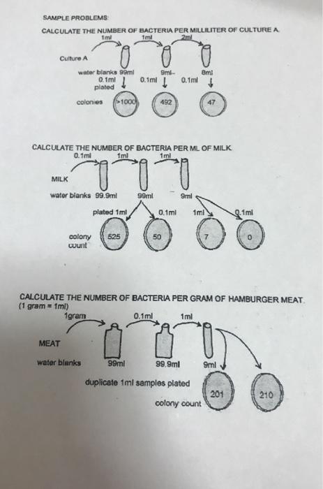 Solved SAMPLE PROBLEMS CALCULATE THE NUMBER OF BACTERIA PER | Chegg.com