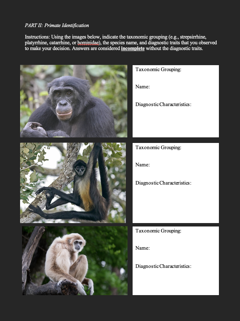 PARTII: Primate Identification Instructions: Using | Chegg.com