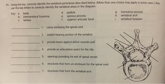 Solved Also 11. Using the key, correctly identify the | Chegg.com
