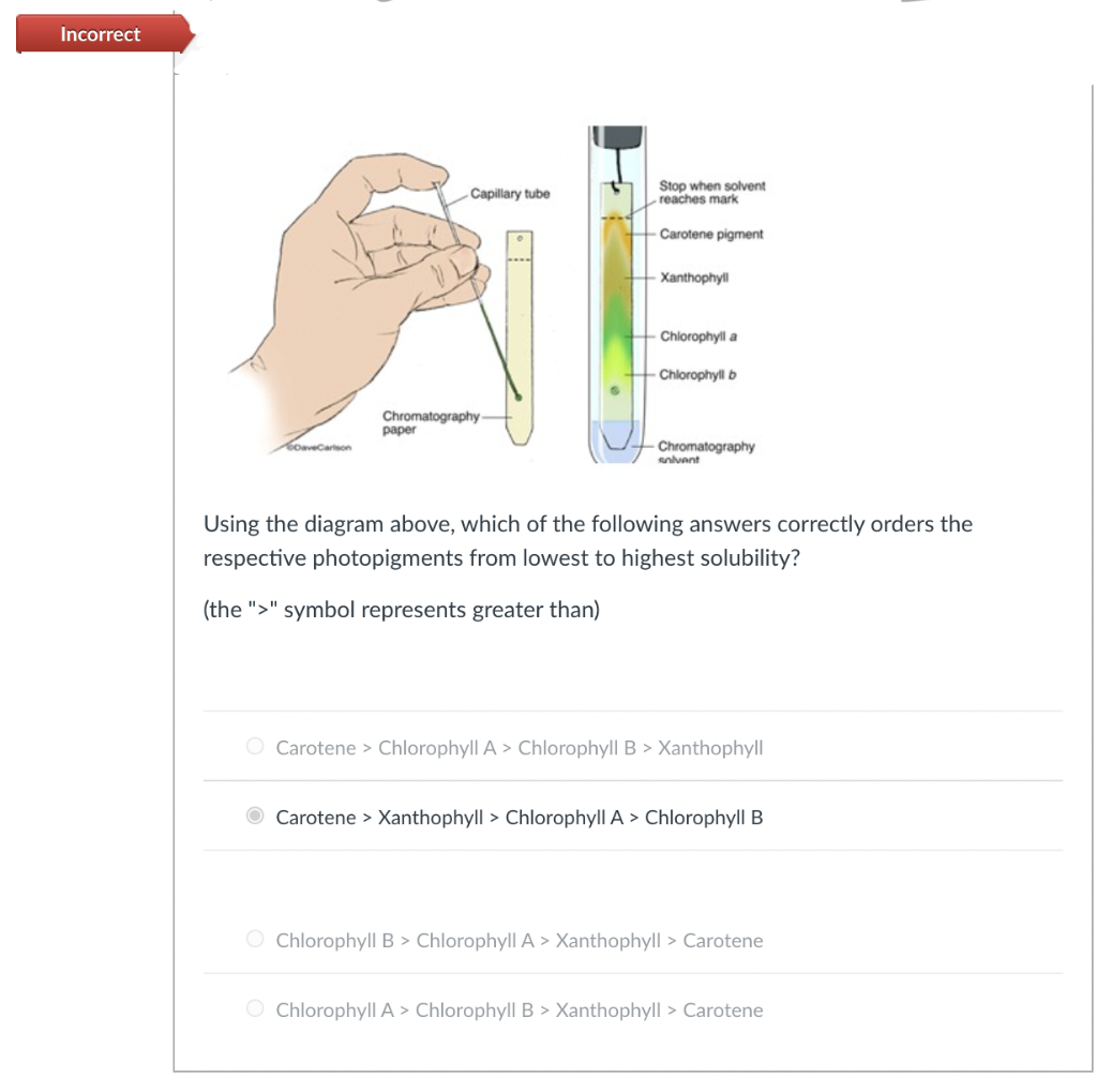 Solved A B С D A B After performing a paper test to | Chegg.com