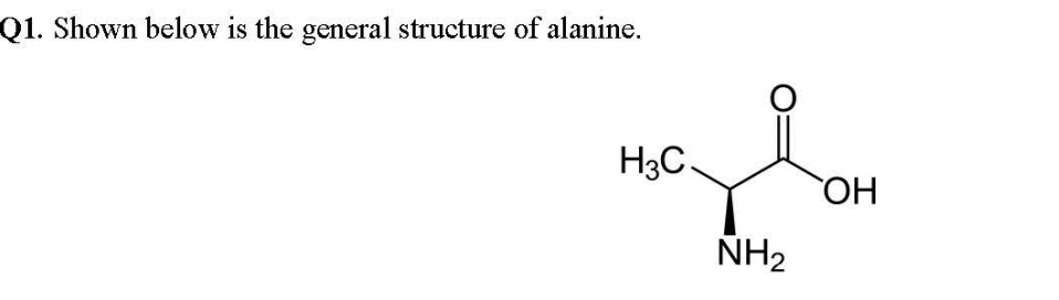 Solved Q1. Shown below is the general structure of alanine. | Chegg.com