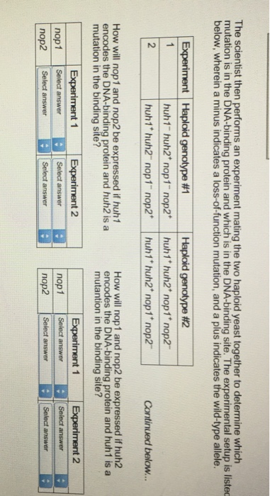 The scientist then performs an experiment mating the | Chegg.com