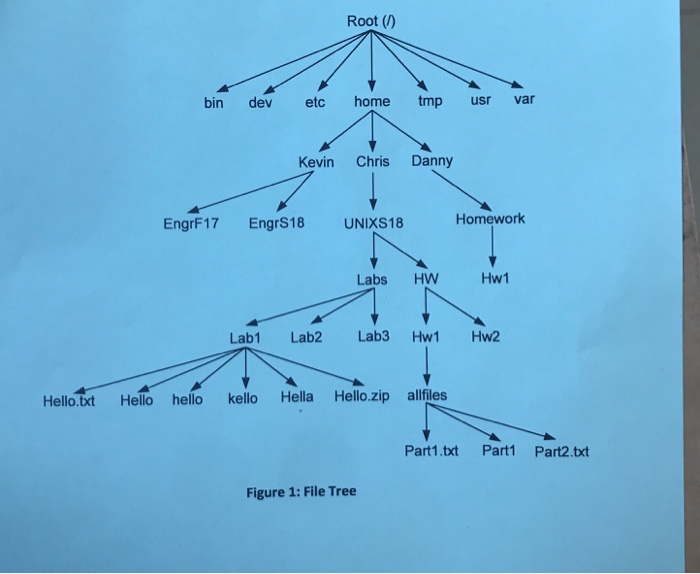Solved Questions for my introductory unix class. Please | Chegg.com