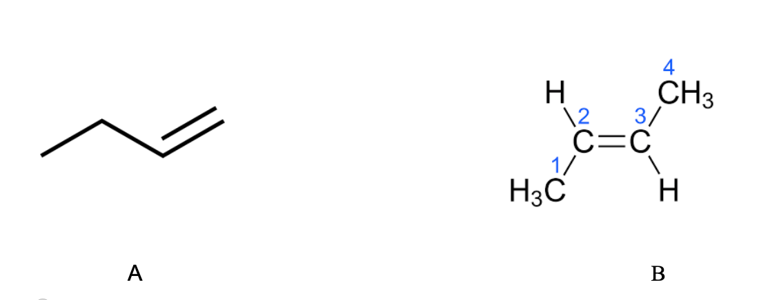 Solved Which of the following statement about 1-butene | Chegg.com