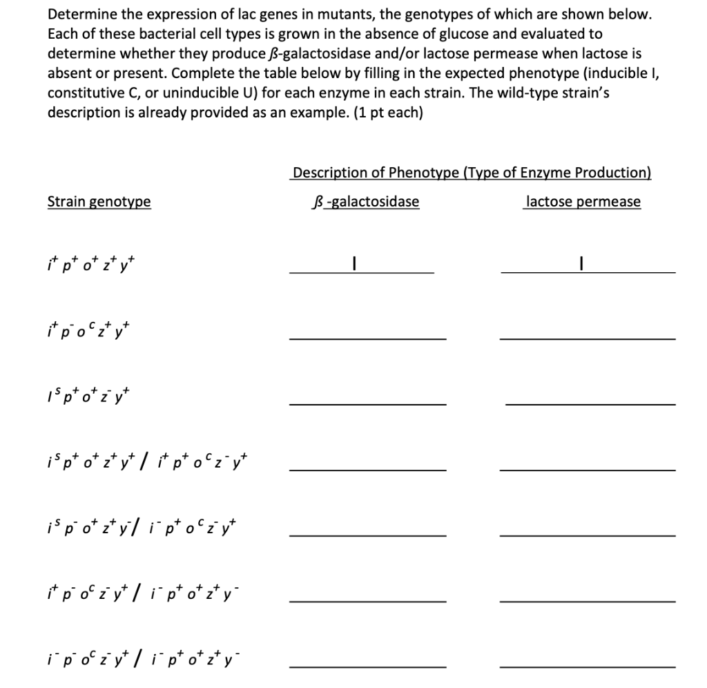 Solved Determine the expression of lac genes in mutants, the | Chegg.com